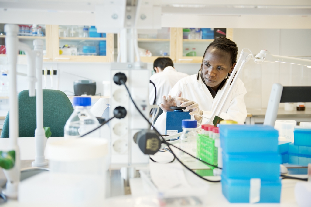 BioCentrum, Sveriges Lantbruksuniversitet, Uppsala - Comfort Control